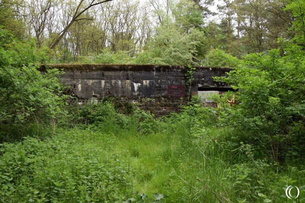 Festungsfront Oder-Warthe-Bogen, Panzerwerk A8 West – Werkgruppe York ...