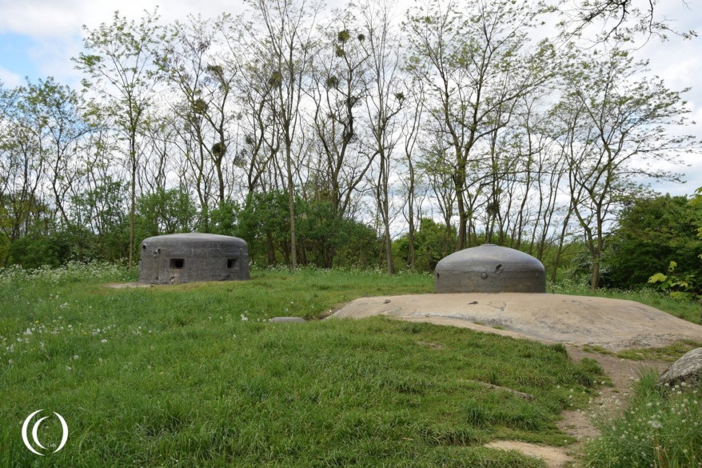 Festungsfront Oder-Warthe-Bogen, Panzerwerk 716 – Werkgruppe ...