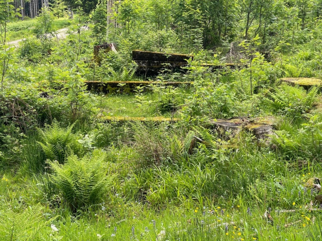 Führerhauptquartier Felsennest – Hitler’s Headquarters in Rodert ...